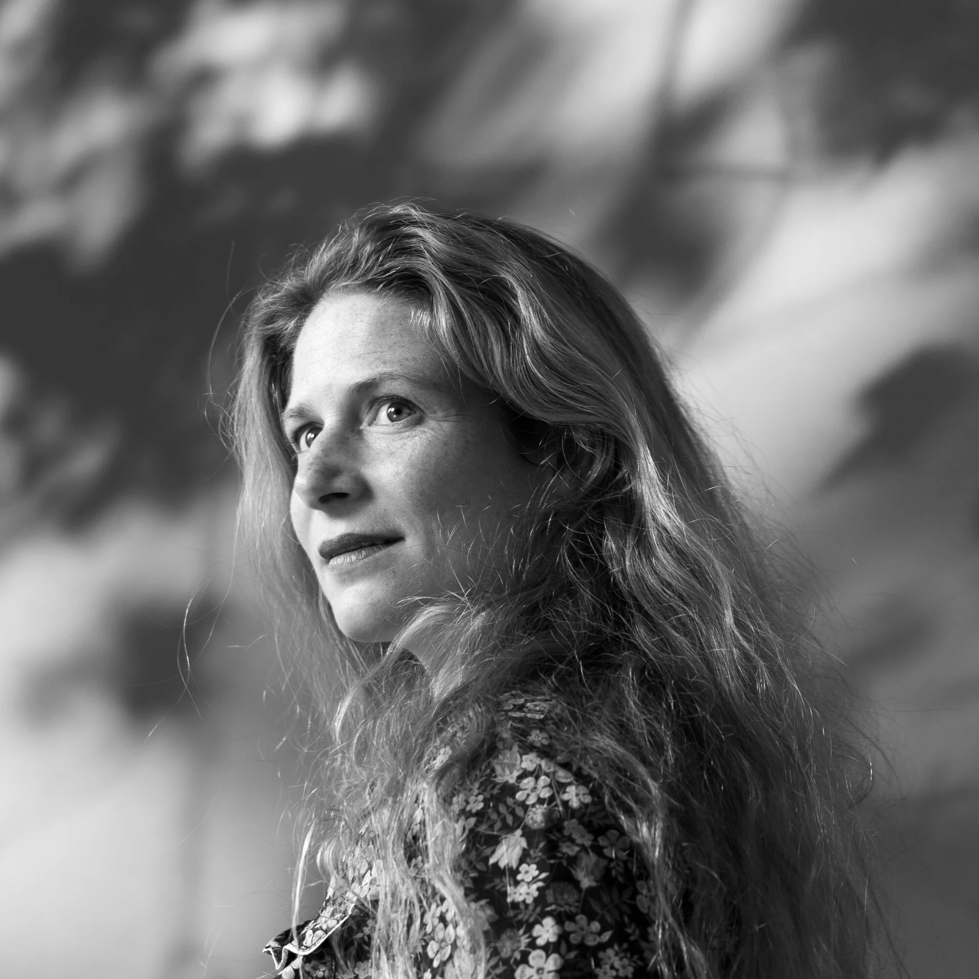 Contributors – Dining in Place